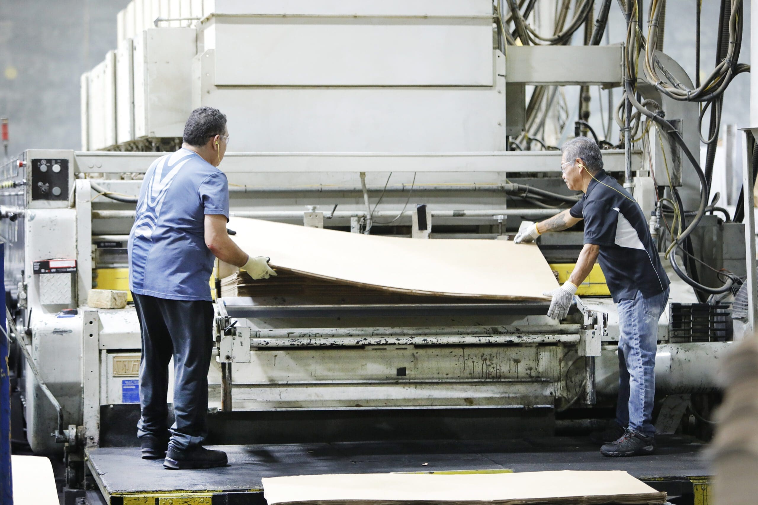 Progress Container – The Royal Group